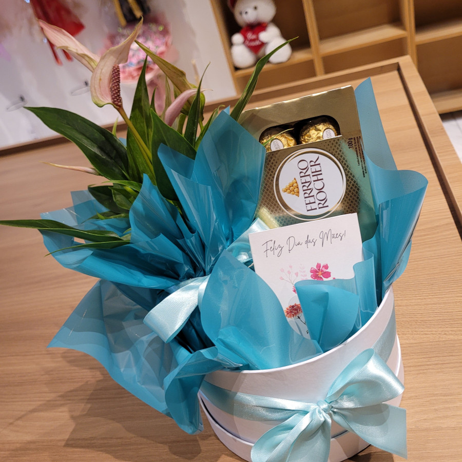 Box Lilow - Catálogo